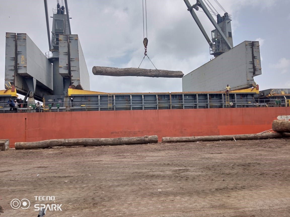 Horizon Logging Company Exports US$2.7M Worth Of Logs In Flagrant ...