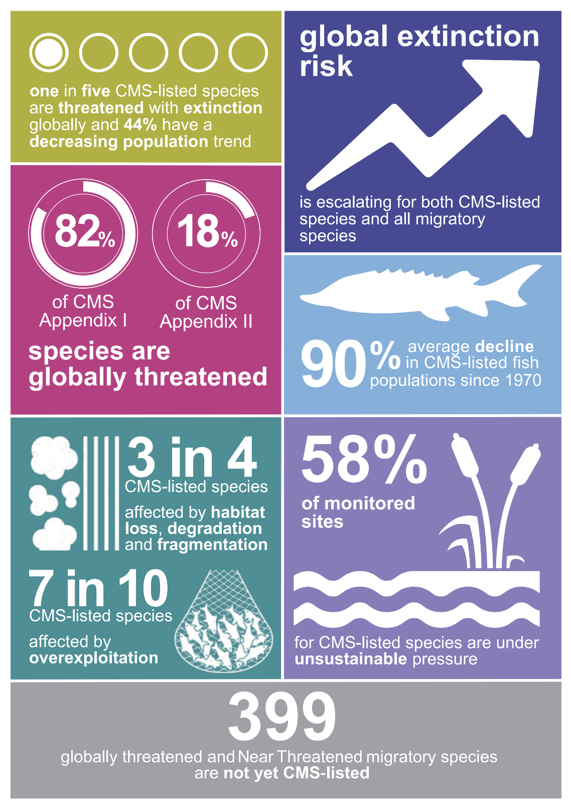 Landmark UN Report Reveals Shocking State Of Wildlife: World’s ...