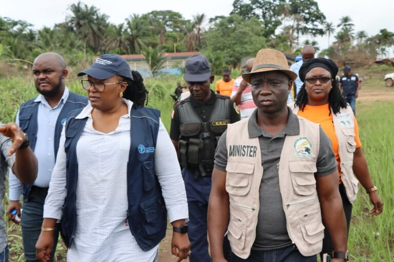 FAO Liberia And Agriculture Ministry Pledge Support To Farmers In Lofa ...
