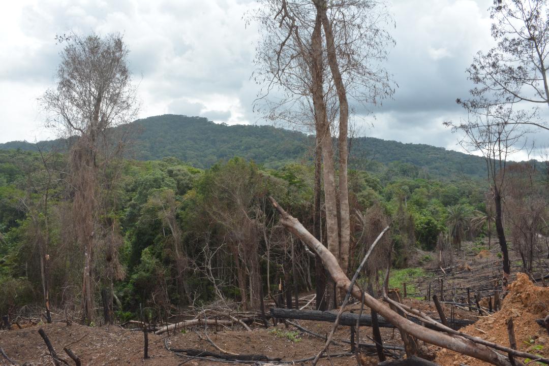 OP-ED: World Environment Day–“Our Land. Our Future” - News Public Trust