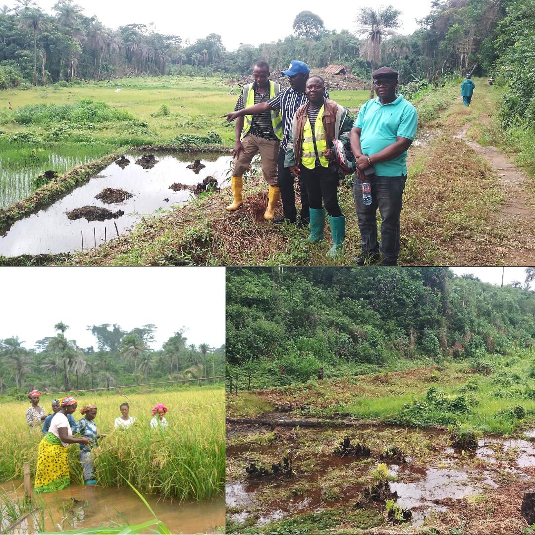 Community Based Forestry Management Project Team Engages Beneficiaries