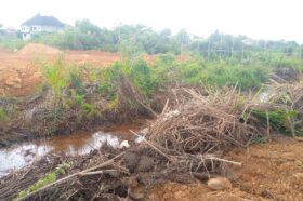 Warkolor Jungle Lodge & Reserve Opens In Western Liberia With U.S ...