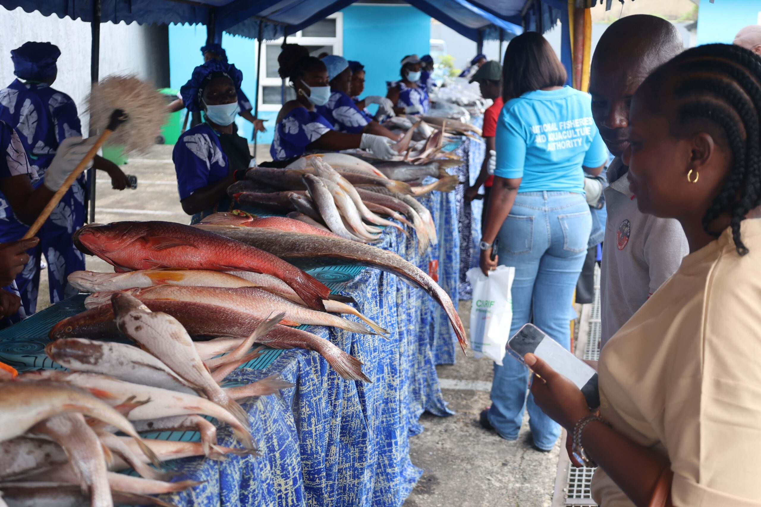 NaFAA Hosts Historic Fish Market Day, Empowering Fishmongers And ...